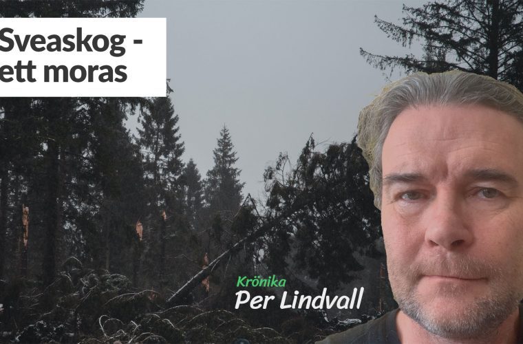 Per Lindvall | iskogen.se