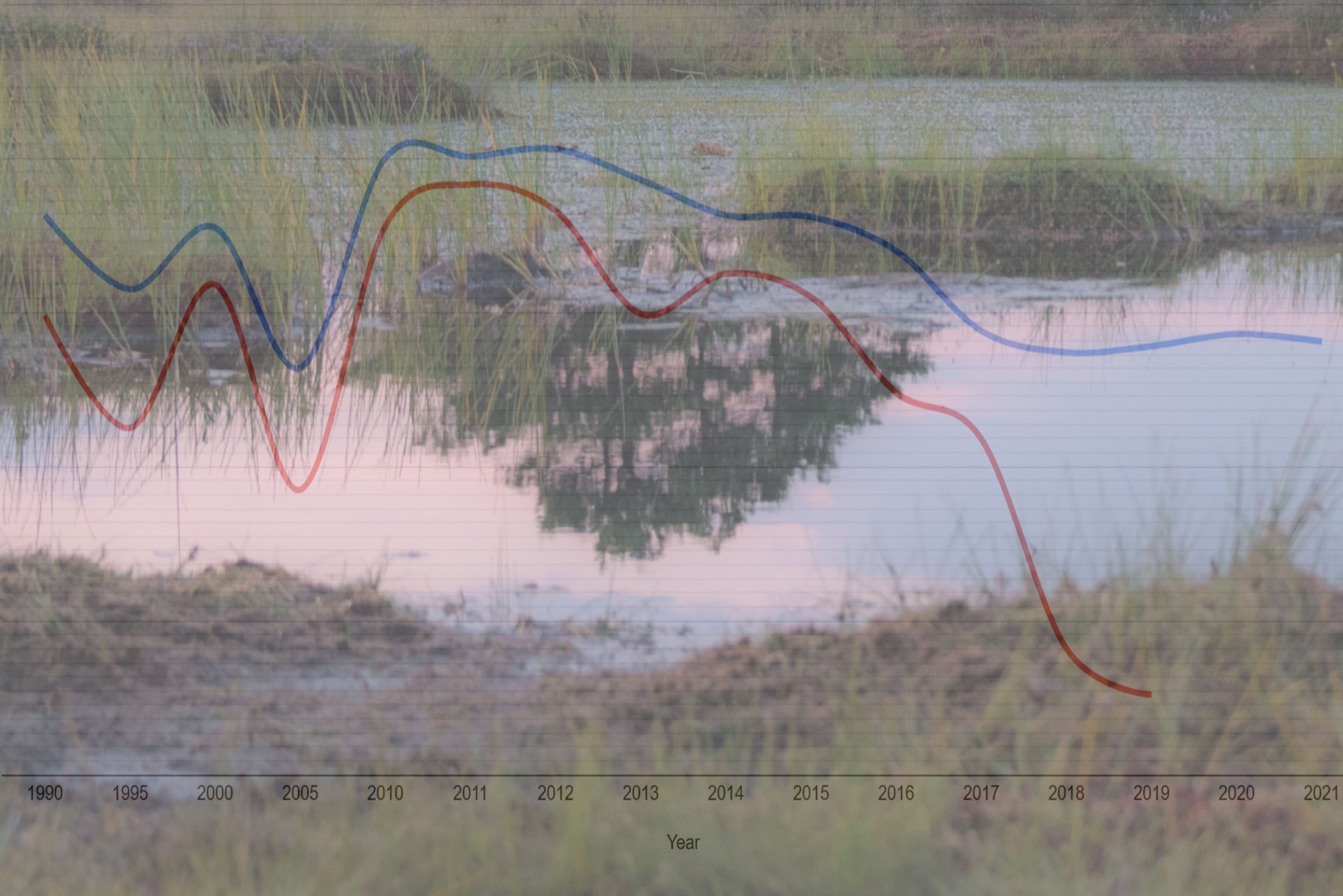 Sveriges LULUCF-rapportering - ett gungfly | iskogen.se